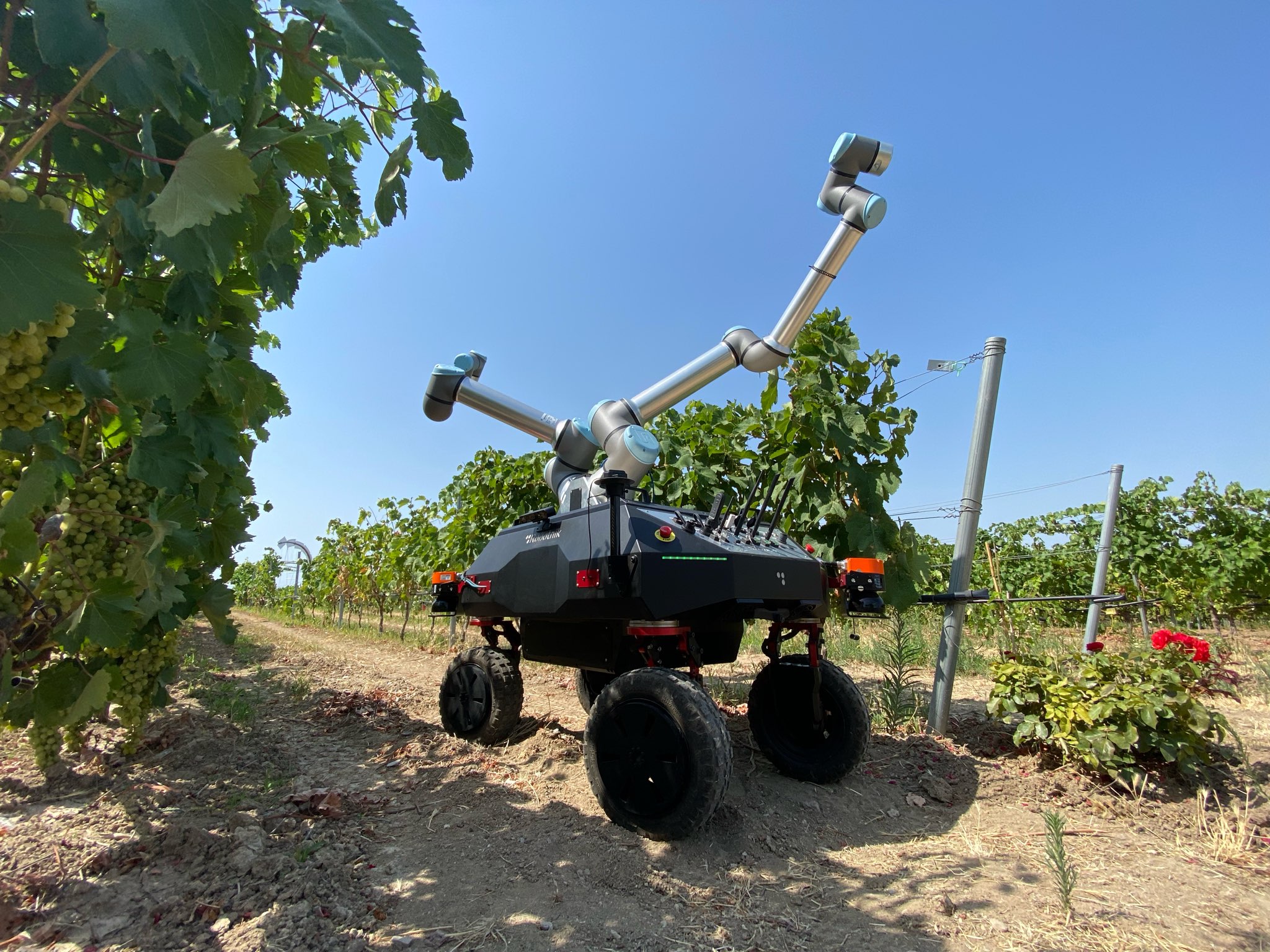 Integration on the harvesting robot - BACCHUS Project EU